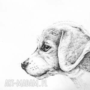 pies rysunek na ścianę cienkopis - oryginalne grafika ღ art-Madam.pl
