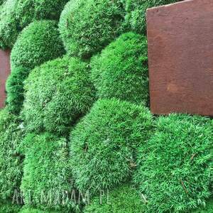 Dekoracja Ścienna Obraz z Mchem Blink #11 - Niesztampowe ღ art-Madam.pl