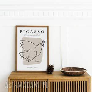 picasso gołębica szkic plakat format 50x70 cm ღ art-Madam.pl