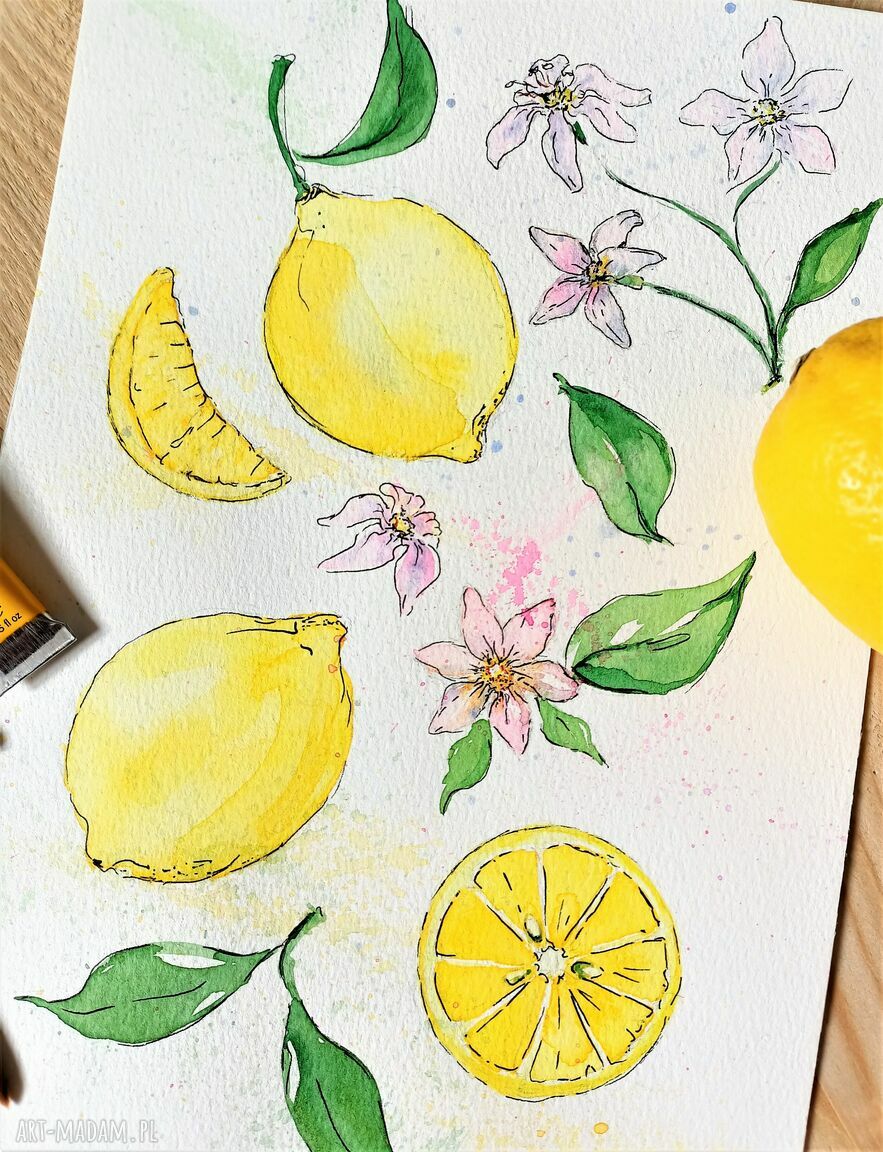 obrazy akwarela cytryny - Pracownia Kotelek ღ art-Madam.pl