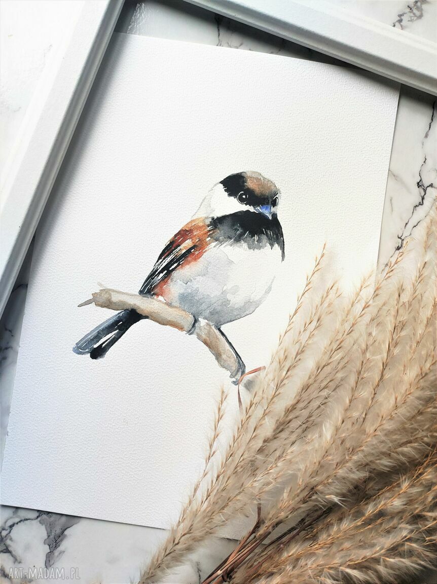 Akwarela Sikorka Brunatna - Obrazy ღ art-Madam.pl