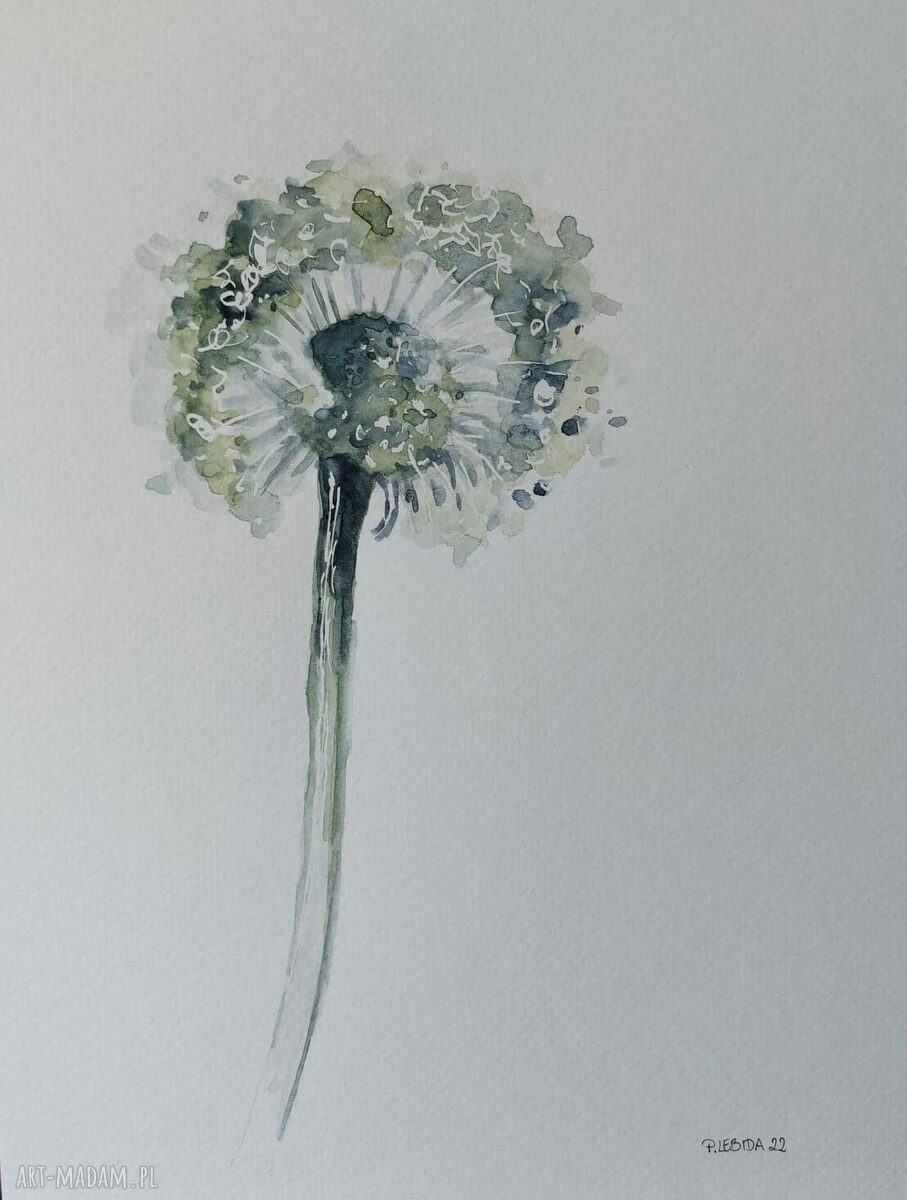 Dmuchawce Dwie Akwarele Każda Formatu 18/24 cm - Intrygujące Obrazy ...