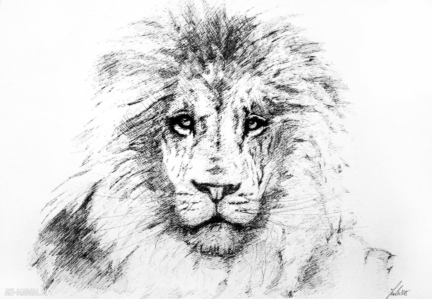 lew rysunek oryginał na ścianę - grafika ღ art-Madam.pl