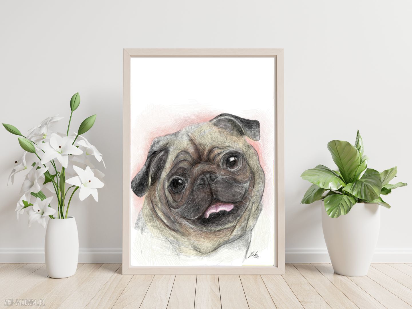 mops rysunek pies - niepowtarzalne grafika - studio