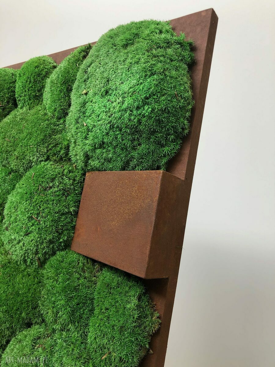 obraz mech rdza 3d 50x50cm - gustowne obrazy