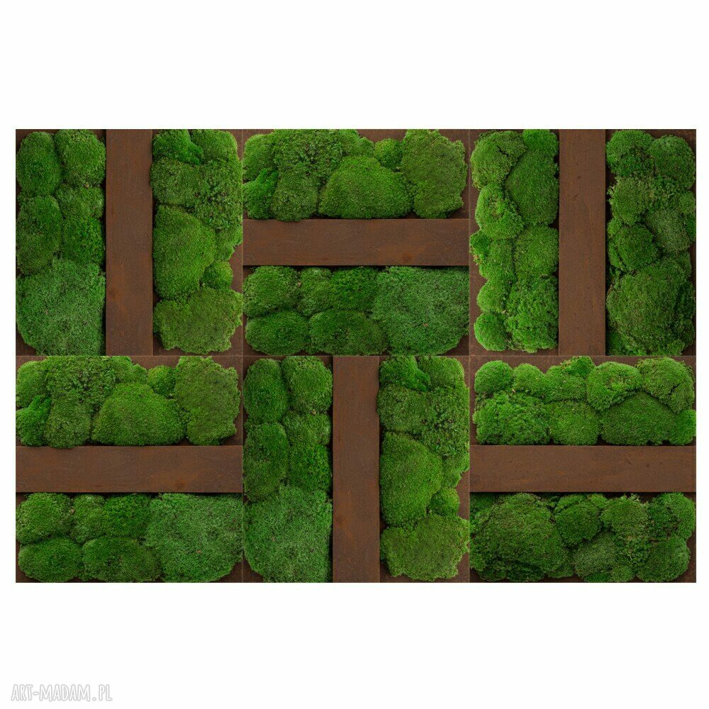 dekoracja ścienna obraz z mchem blink #61 ღ art-Madam.pl