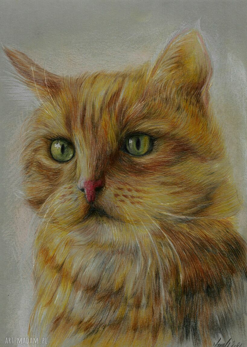 Rysunek Kot - Wyraziste Grafika ღ art-Madam.pl