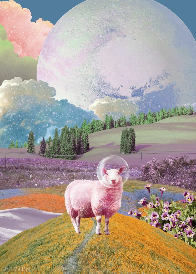 space sheep 30x40 kolaż dostępne inne formaty - unikalne ღ art-Madam.pl